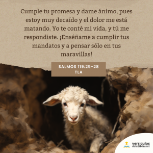 Versículos de Ánimo y Esperanza 《 Textos Bíblicos de aliento